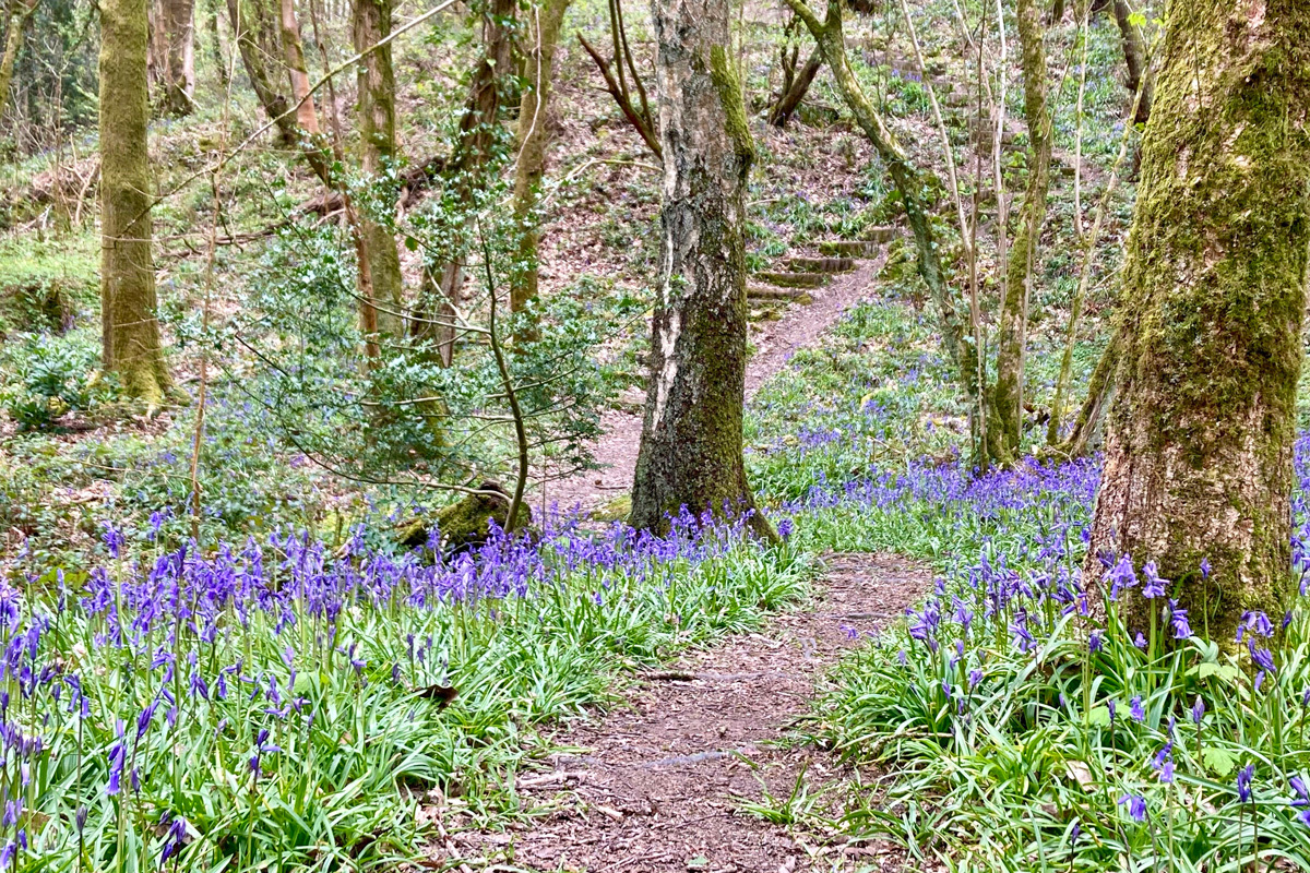 Network trail: Ten walks by train from Manchester | Manchester Confidential