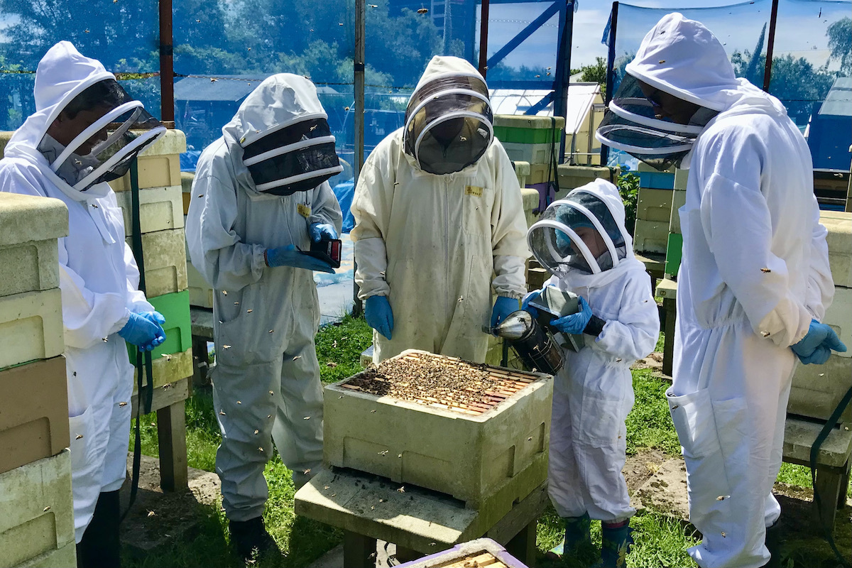 Beeshack brings the buzz back to beekeeping | Liverpool Confidential
