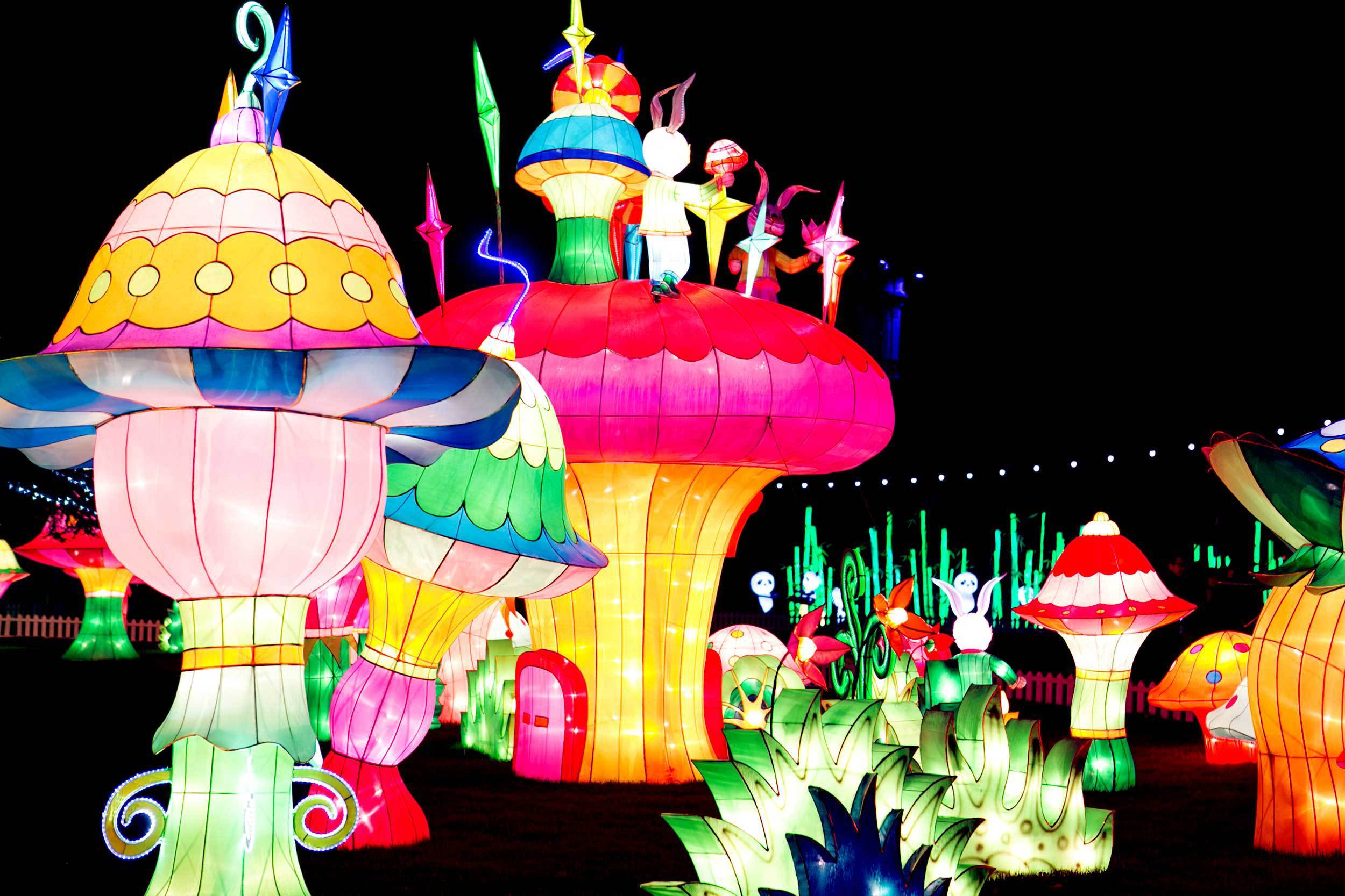 Win! Family passes to brand-new Lightopia festival | Confidentials