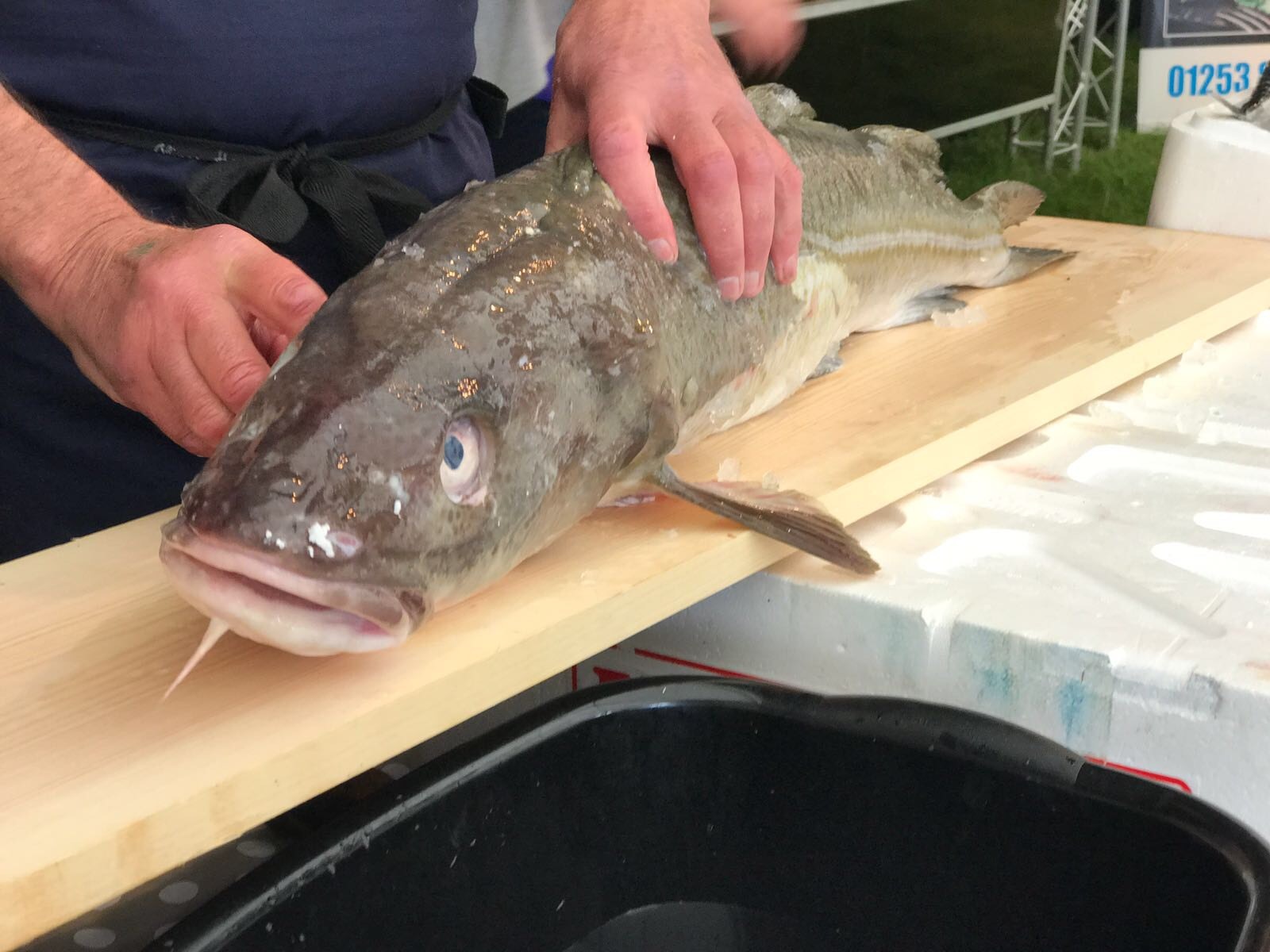 Winner winner Seafood Dinner | Confidentials