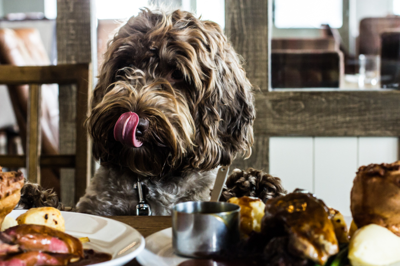 Win! Dinner, bed and breakfast at the Alma Inn