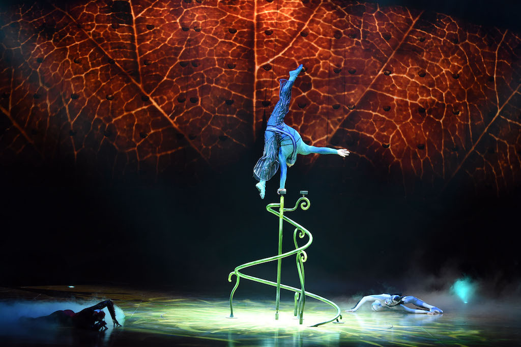 ‘A souped-up circus extravaganza’ - Cirque du Soleil’s OVO, Echo Arena ...