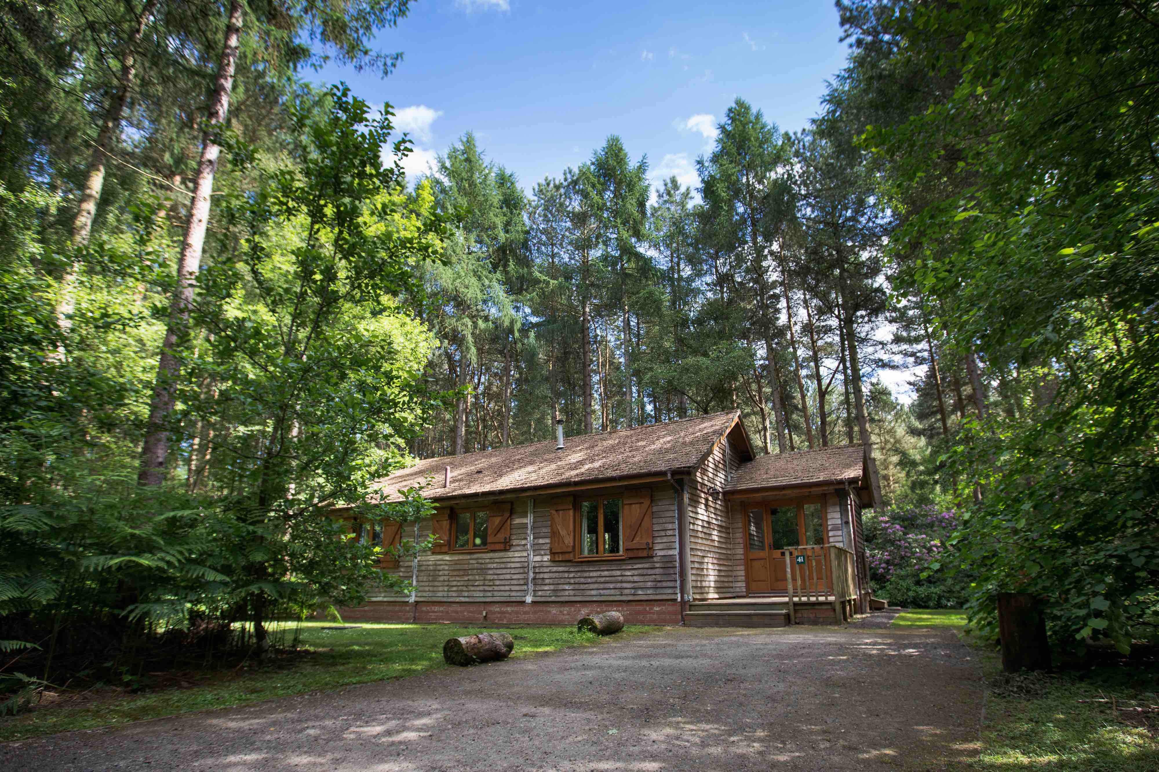 Travel: Griffon Forest Lodges nr York - Twilight in a wooded wonderland