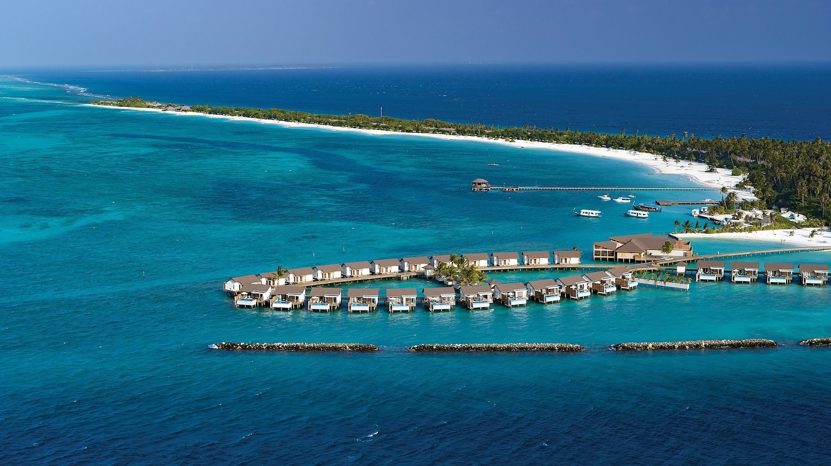 Green turtles and green cuisine flourish at Atmosphere Kanifushi