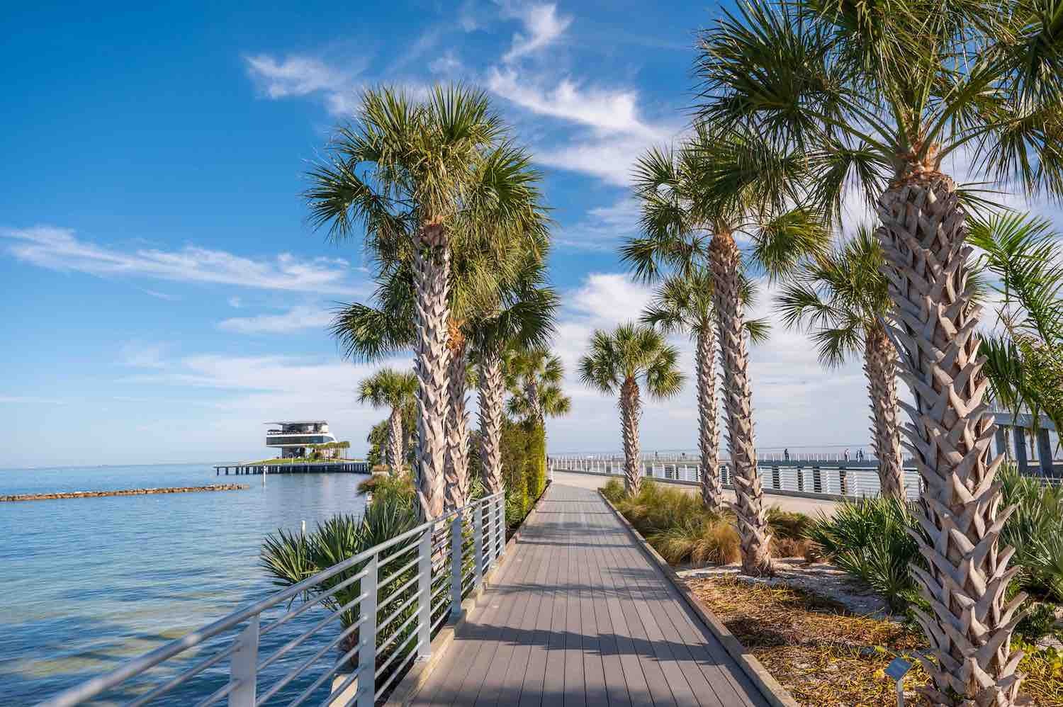 Palmy days in the realm of sea turtles and spider crabs
