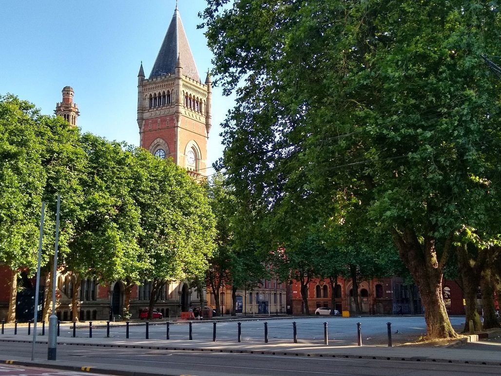 Mayfield trees arrive but are Aytoun's at risk? | Manchester Confidential